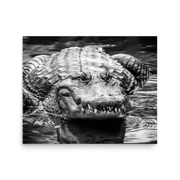 Alligator Art - Etsy