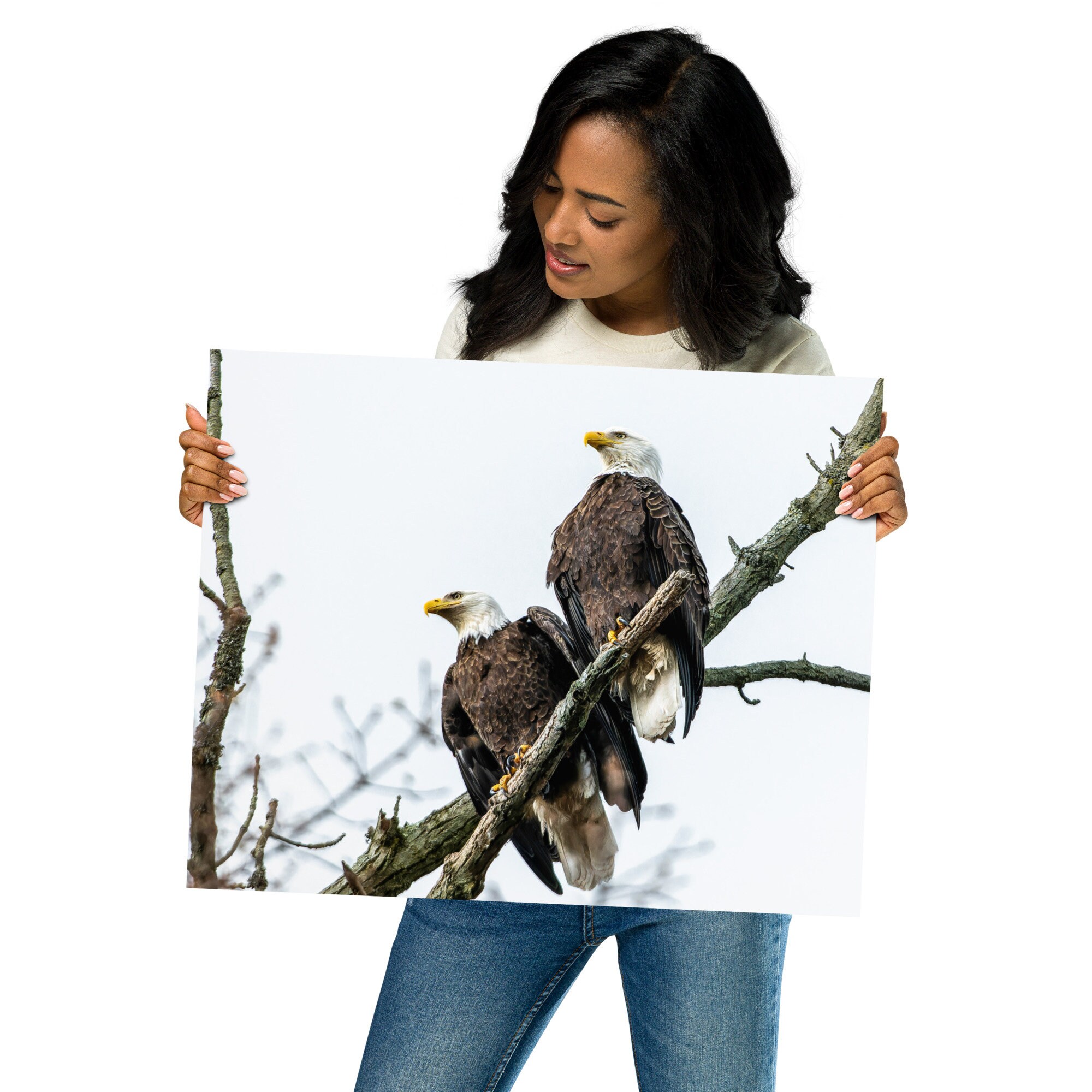 Bald Eagle, Eagle Photograph, Bald Eagle Wall Art - Etsy