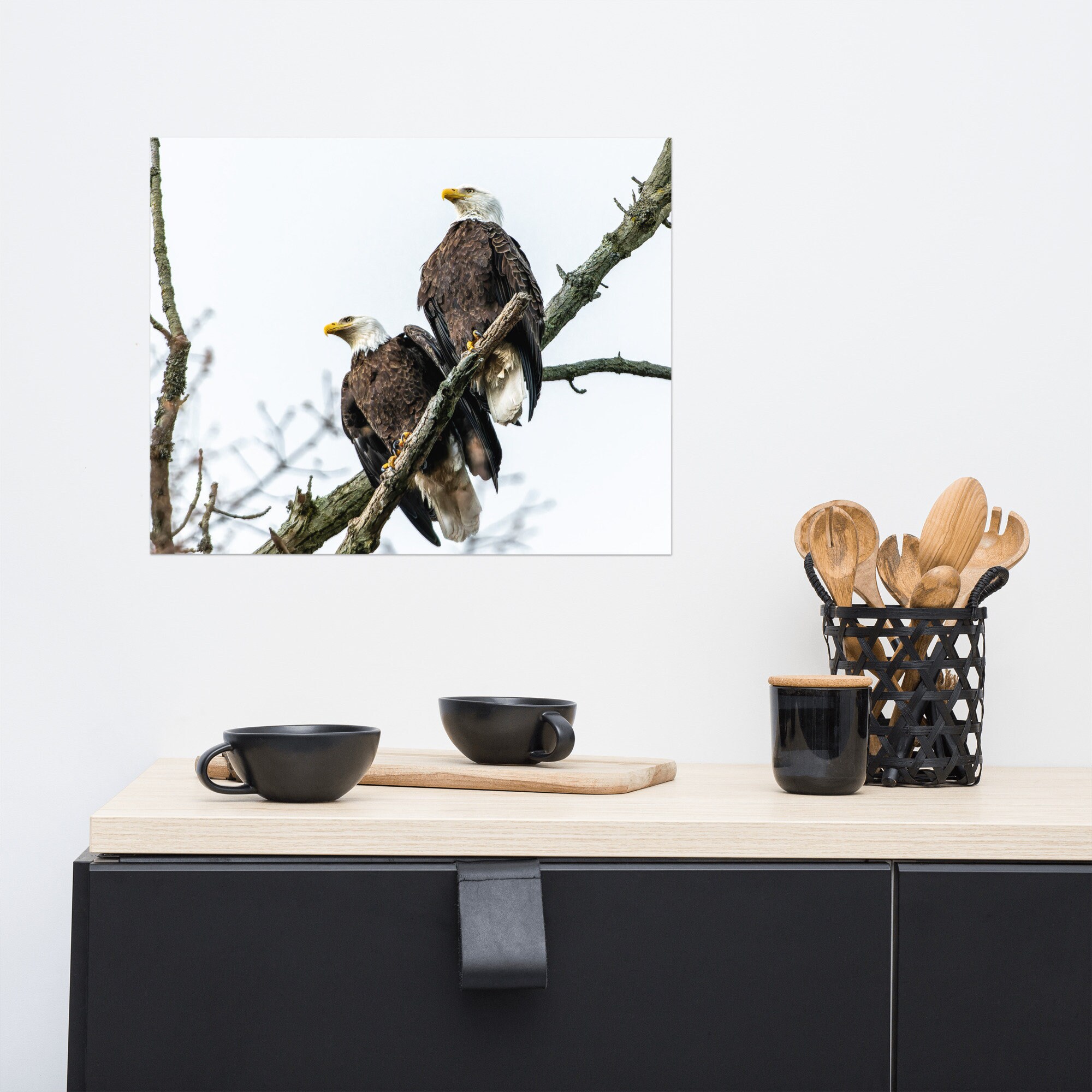 Bald Eagle, Eagle Photograph, Bald Eagle Wall Art - Etsy