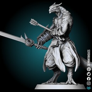 Dragonborn Soldier Winged/wingless - Premium Plant Based Resin 3D ...