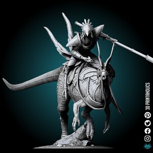 Dilophosaurus kenku Riders Bundle Pack Premium 4k Plant Based Resin 3D ...