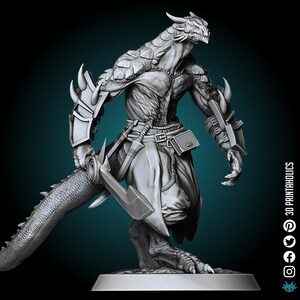 Dragonborn Soldier Winged/wingless - Premium Plant Based Resin 3D ...