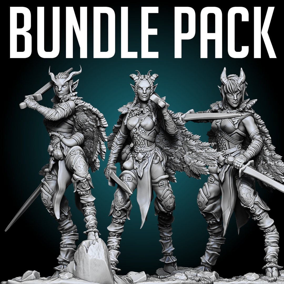 Warrior Bundle Pack - Premium 4k Plant Based Resin 3D Printed Miniature ...