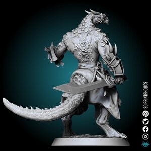 Dragonborn Soldier Winged/wingless - Premium Plant Based Resin 3D ...