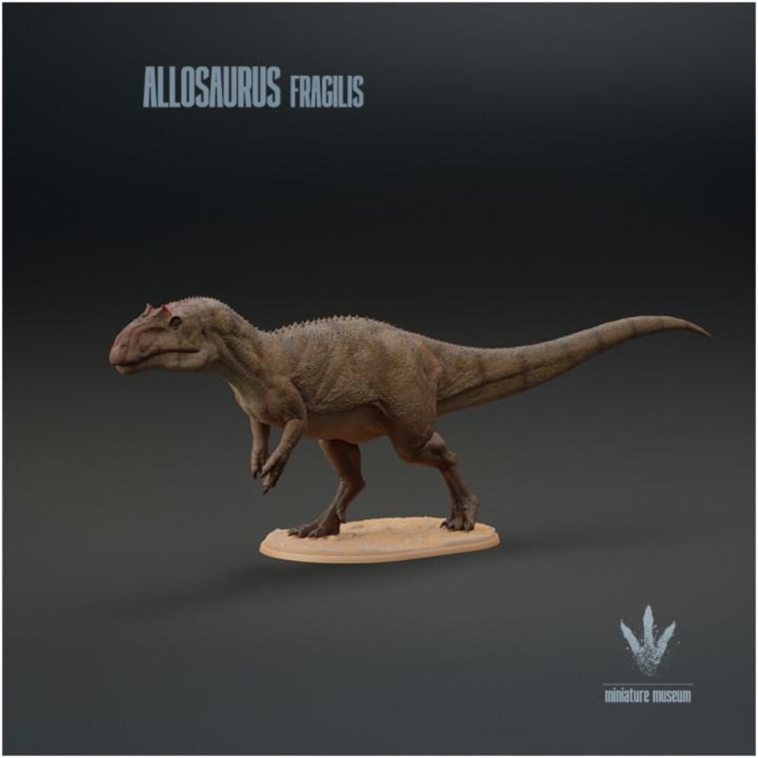 Allosaurus Fragilis - Premium 12k Quality | Highly Detailed Figures ...