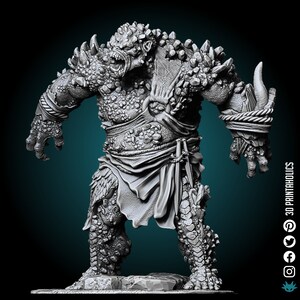 Mountain Ogre Premium 4k Plant Based Resin 3D Printed Miniature ...