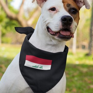 Iraq Flag Iron on Heat Transfer Vinyl HTV / Republic of Iraq / Baghdad ...