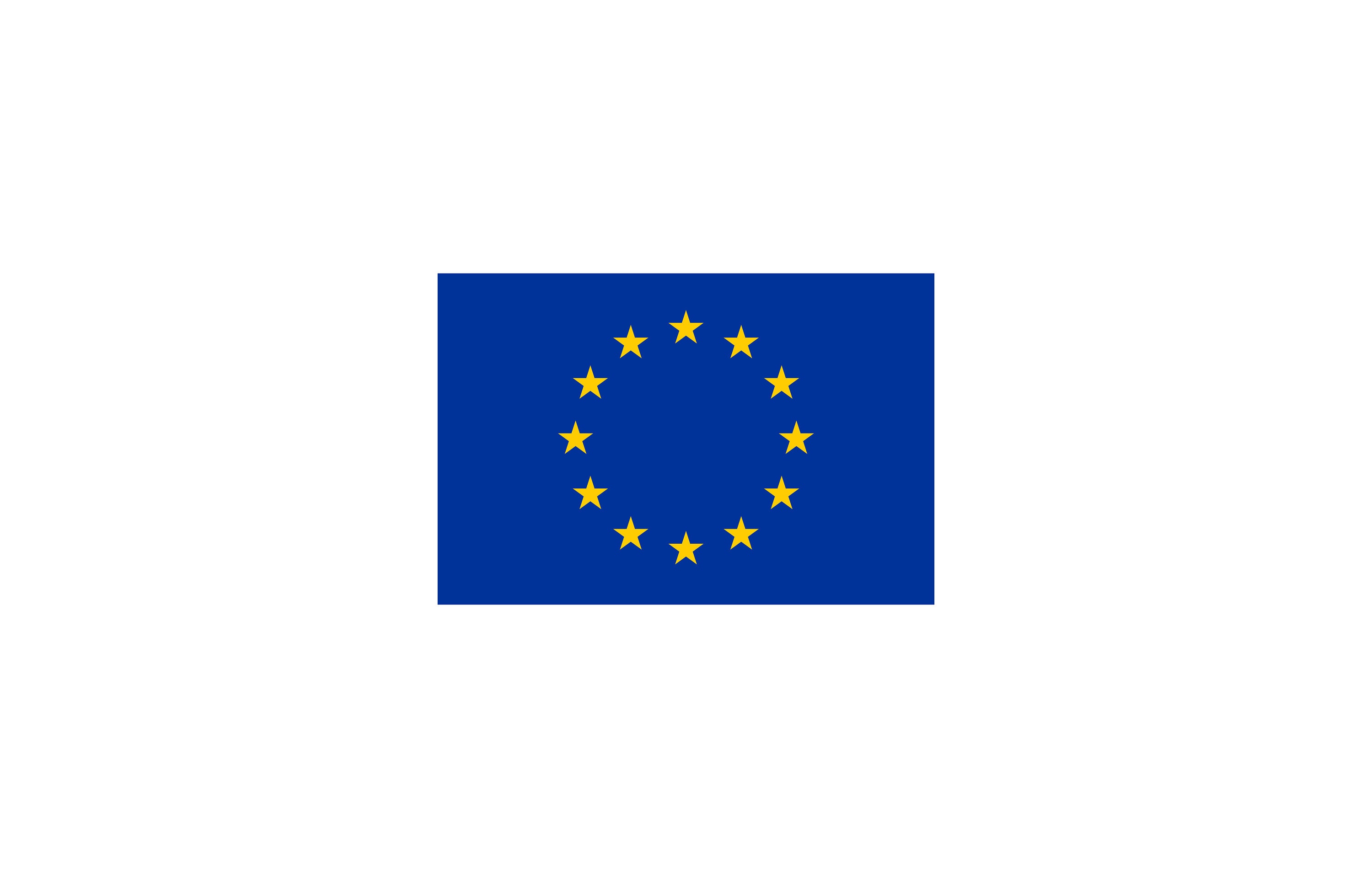 European Union EU Europe Flag Sticker Decal - Etsy