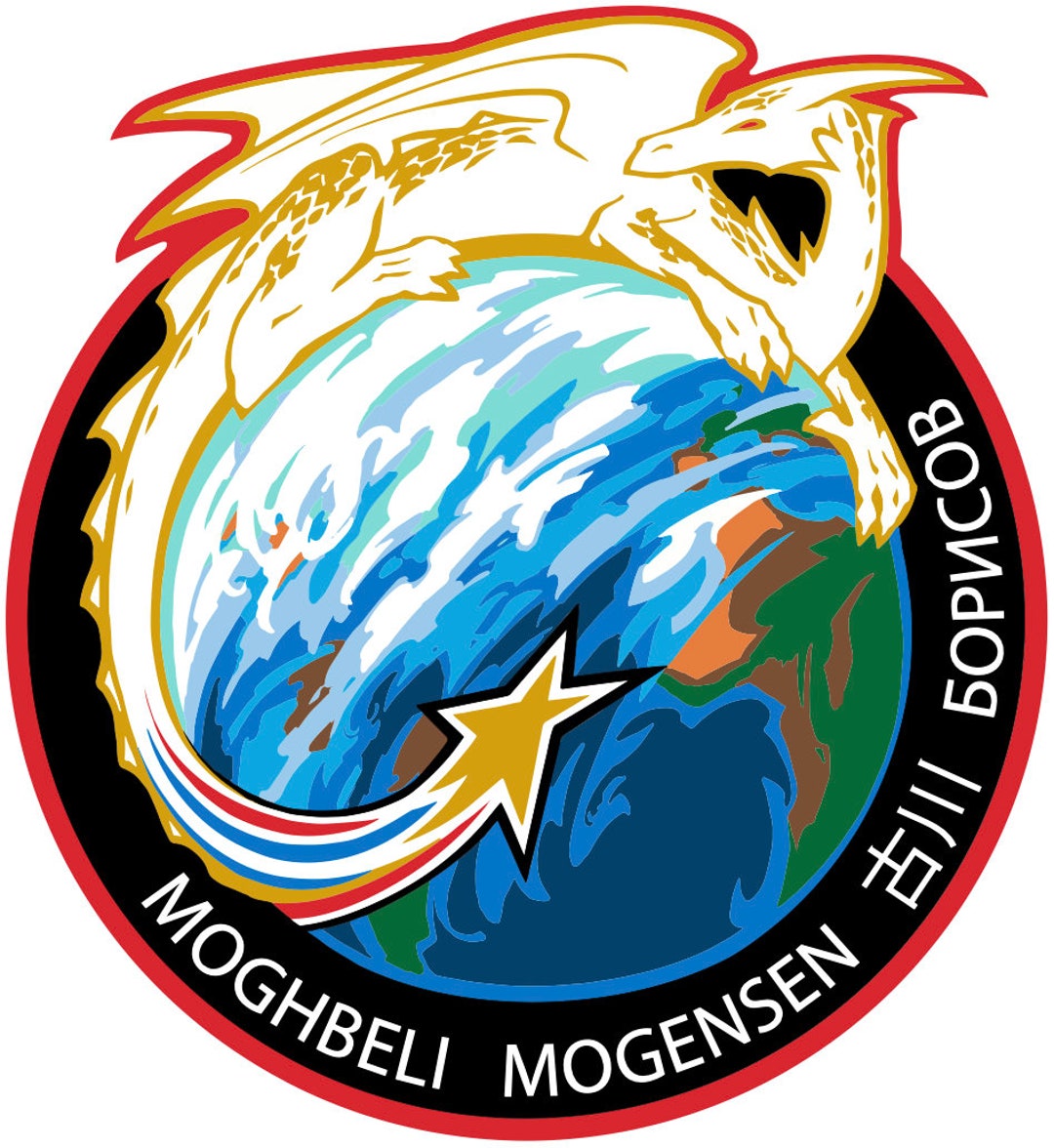 NASA Spacex Crew-7 Mission Patch Sticker Decal NASA Commercial Crew ...