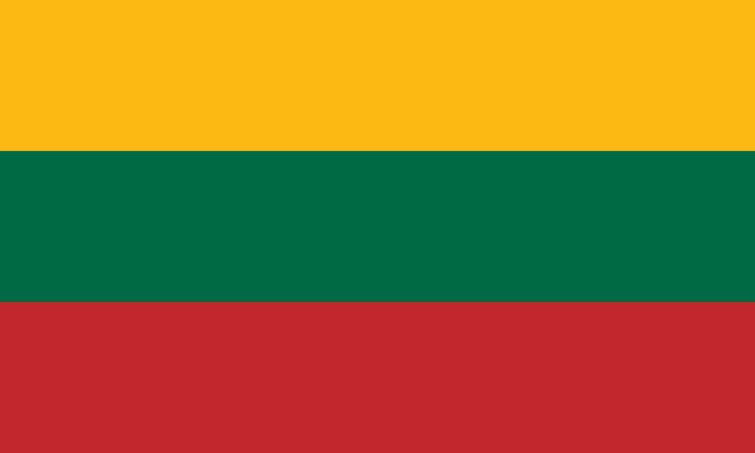 Lithuania Flag Iron on Heat Transfer Vinyl HTV / Republic of Lithuania ...