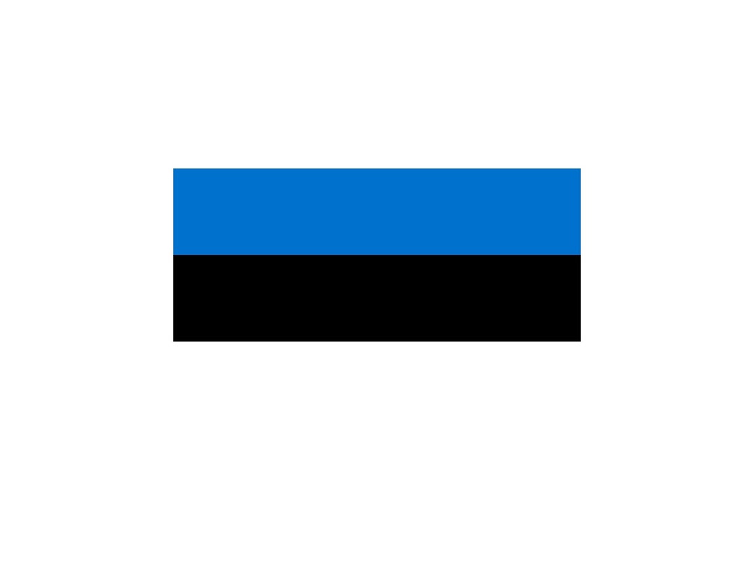 Estonia Flag Sticker Decal - Etsy