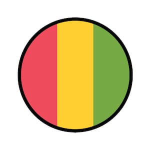 Guinea Flag Circle Sticker Decal - Etsy