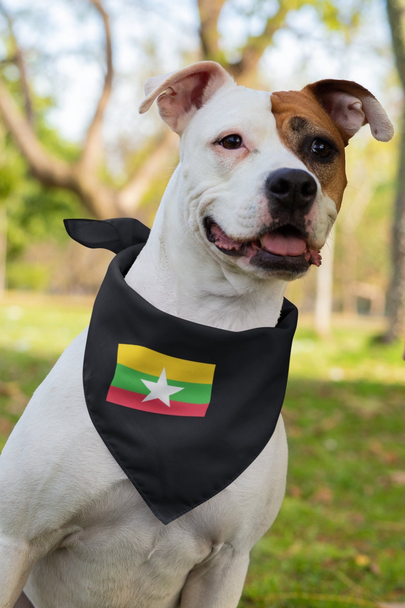 Myanmar Flag Iron on Heat Transfer Vinyl HTV / Republic of the - Etsy