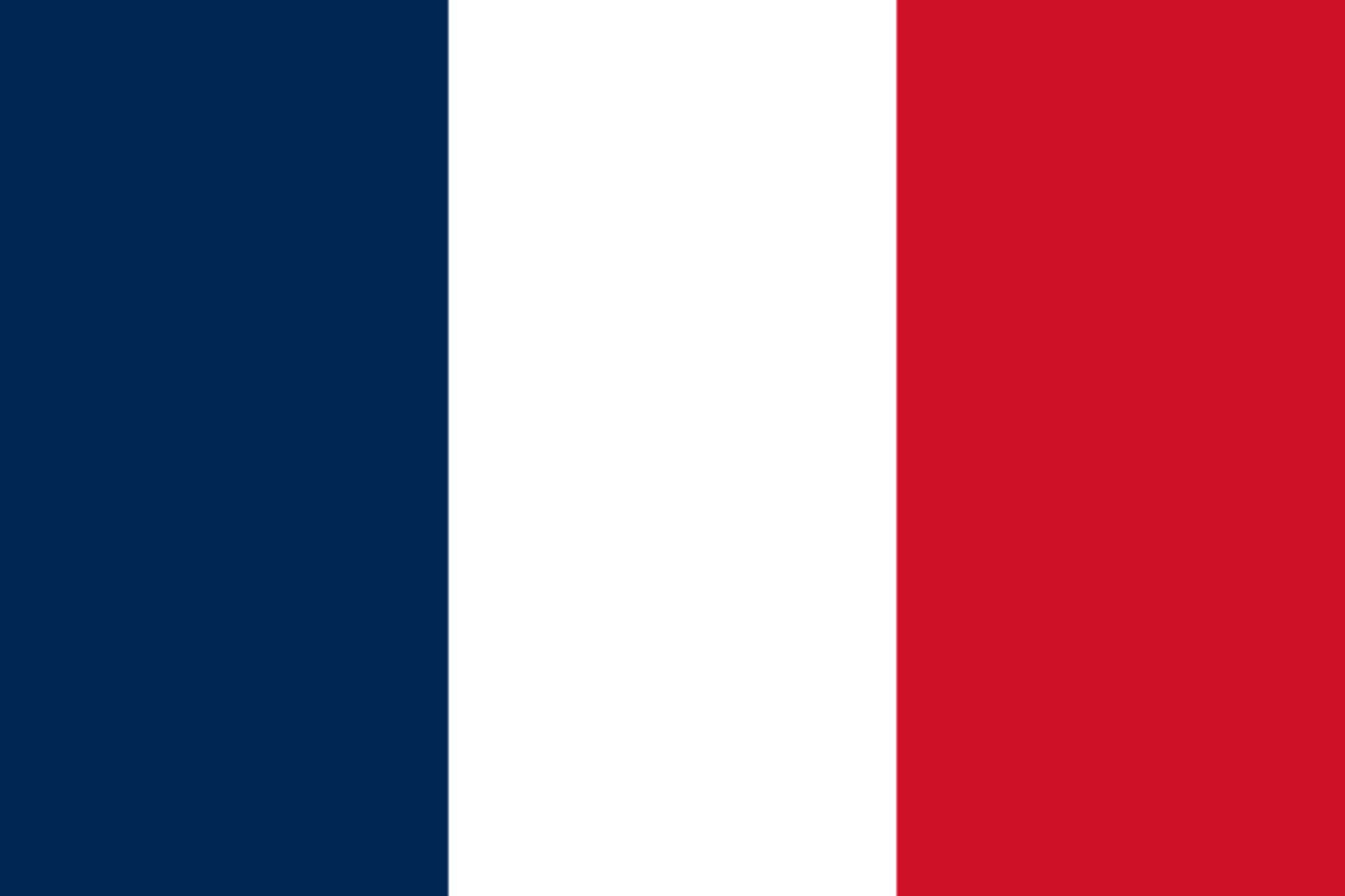 France Flag Sticker Decal / French Republic / Paris / French / - Etsy