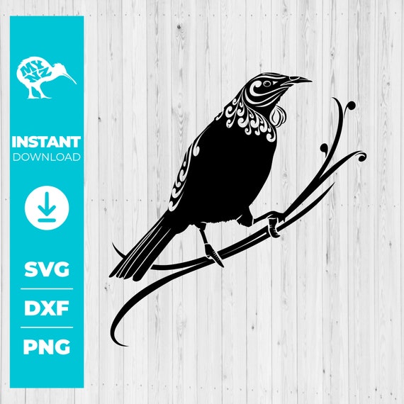 Tui Bird Clipart Png
