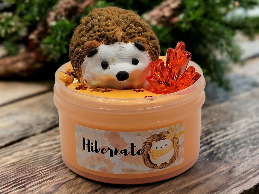 Hibernate, DIY Clay Slime Kit, Hedgehog Gifts, Birthday Gift Ideas ...