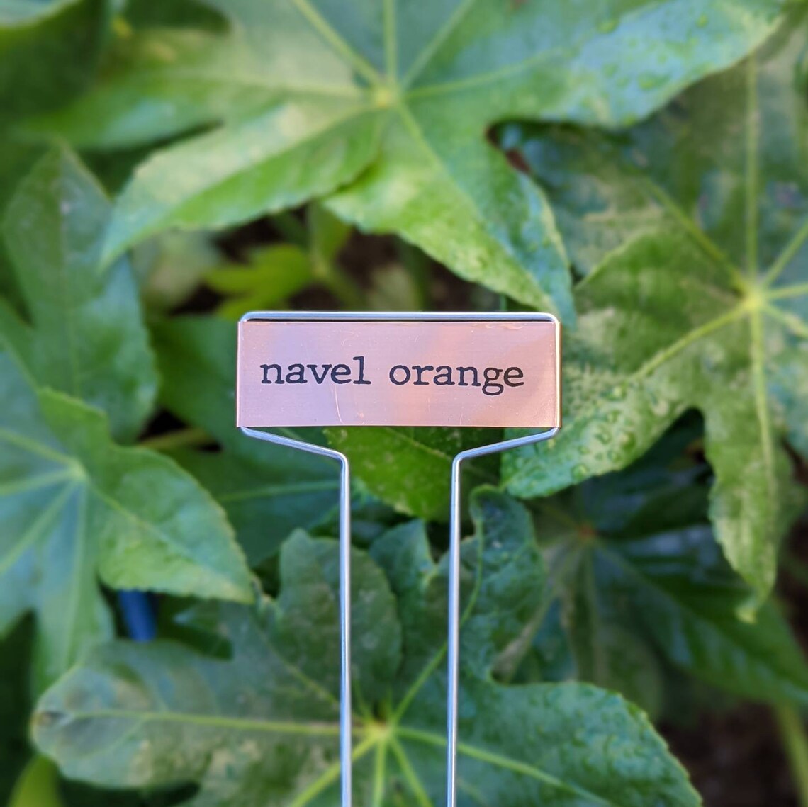 Copper Plant Markers | Garden Markers - Etsy