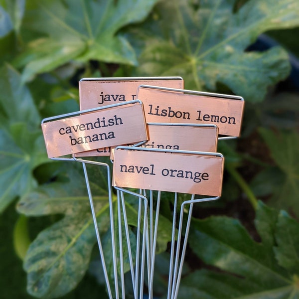 Plant Markers - Etsy