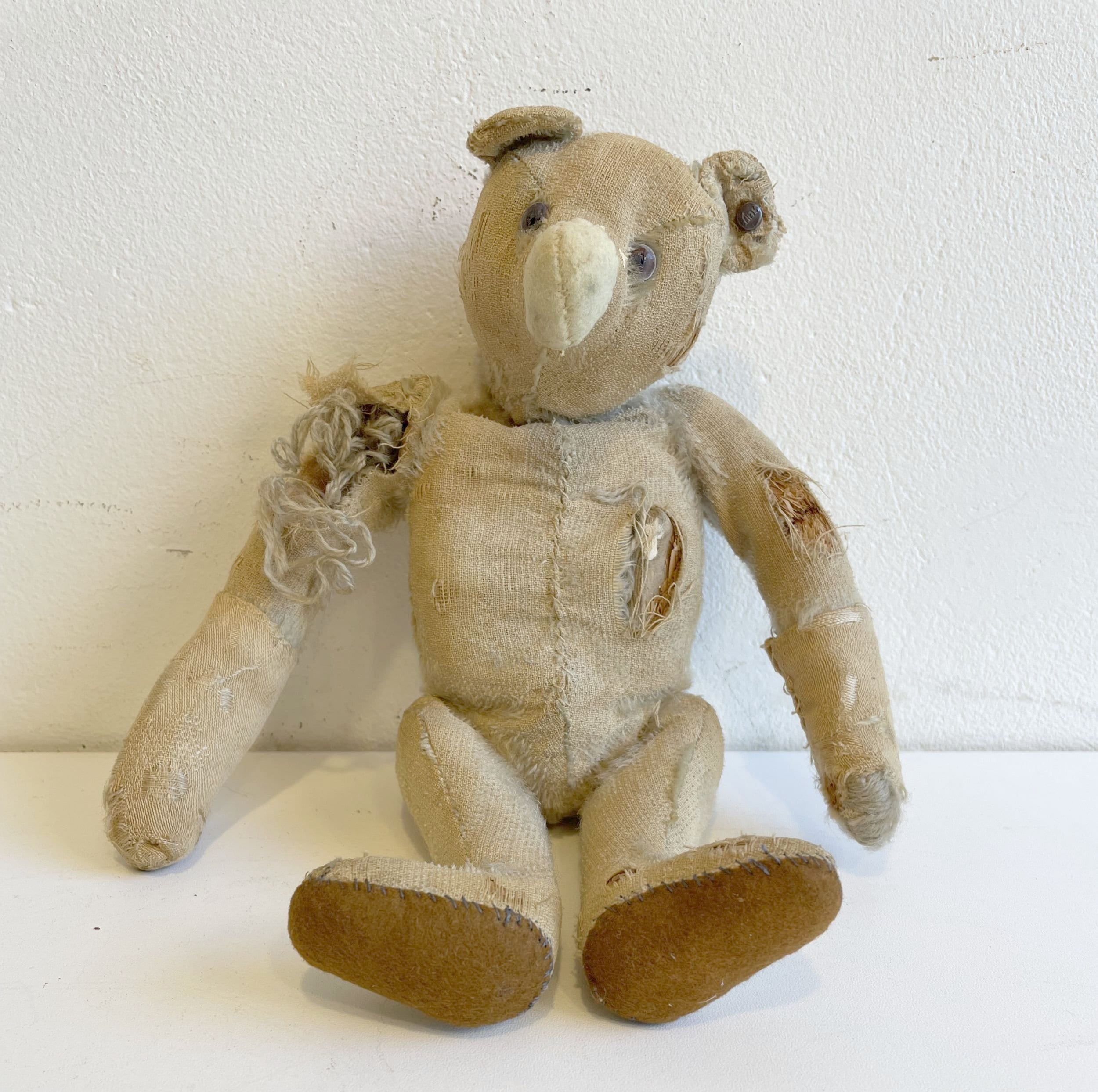 Antique Steiff Bears 1900 1920