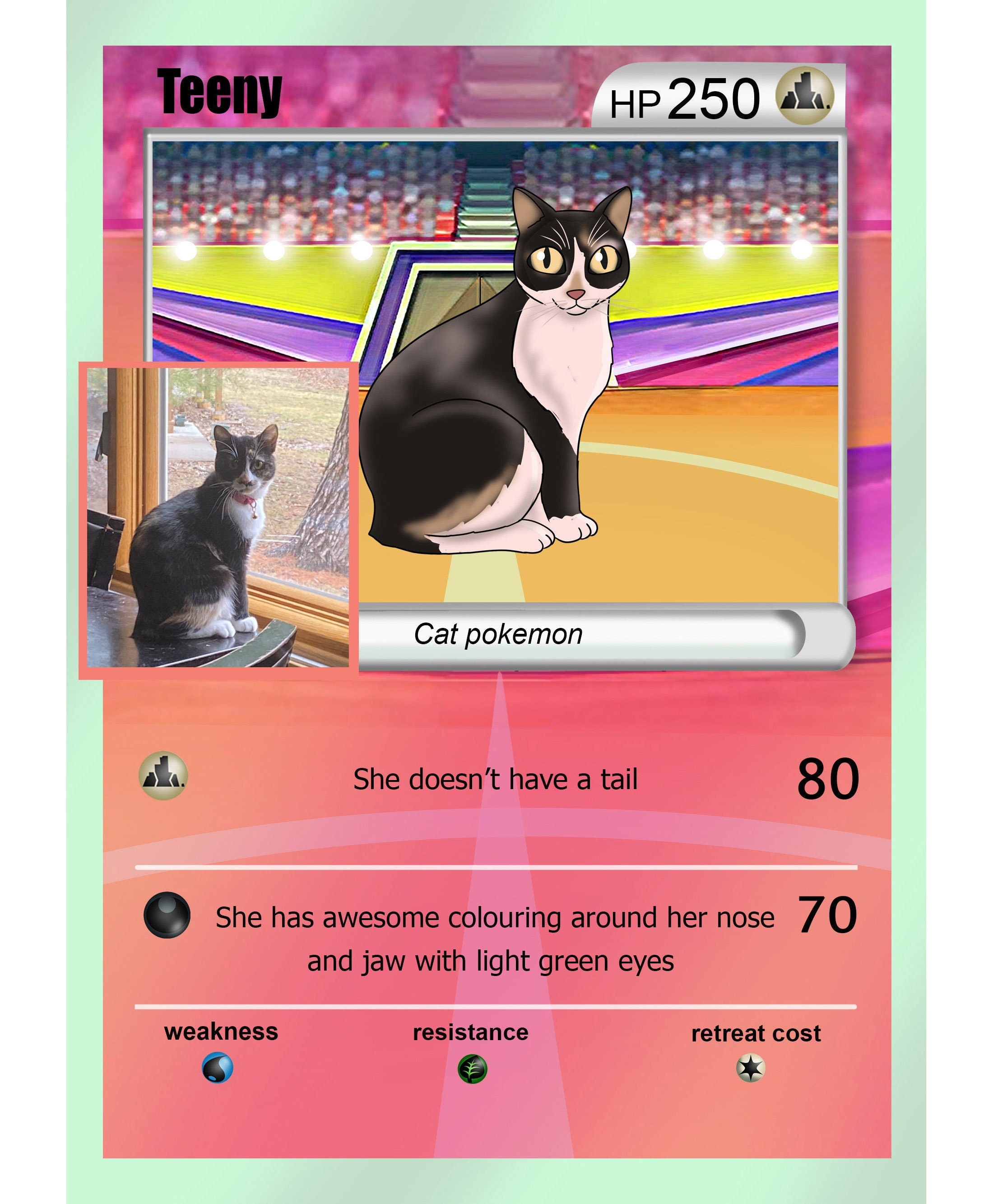 Pokemon Card Black Cat