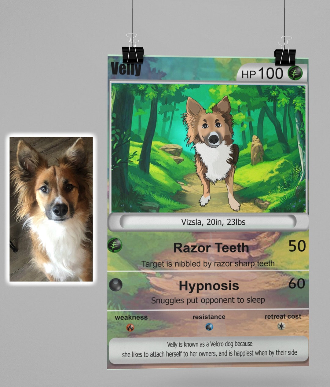 Poke Pet Portrait Poster, Custom Pet Gifts, Catch a Poke, Animal ...