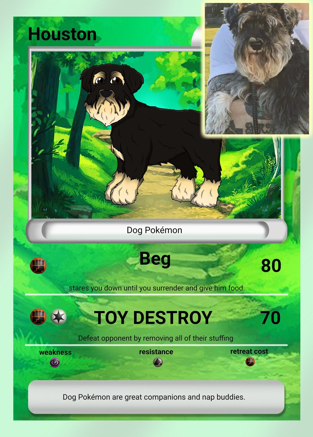 Custom Pets Digital Poke Cards, Digital Image, Poke Monster Pets ...