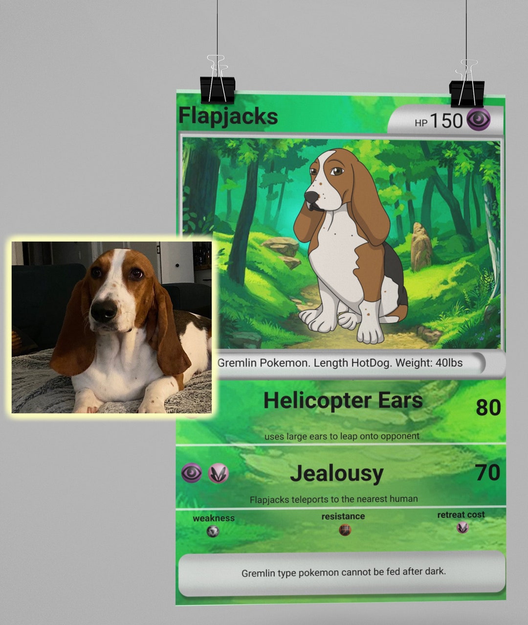 Poke Poster Portrait, Custom Pet Portrait From Photo, Pet Memorial ...