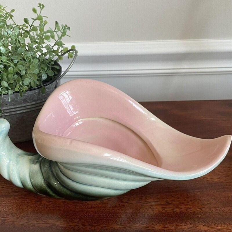 Conch Shell Planter - Etsy