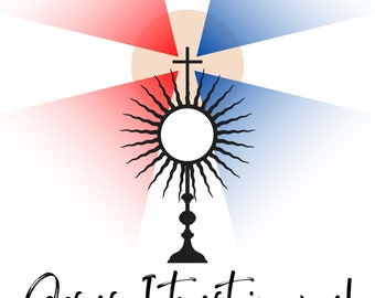 8x10 DIY DIGITAL DOWNLOAD Jesus Divine Mercy - Etsy