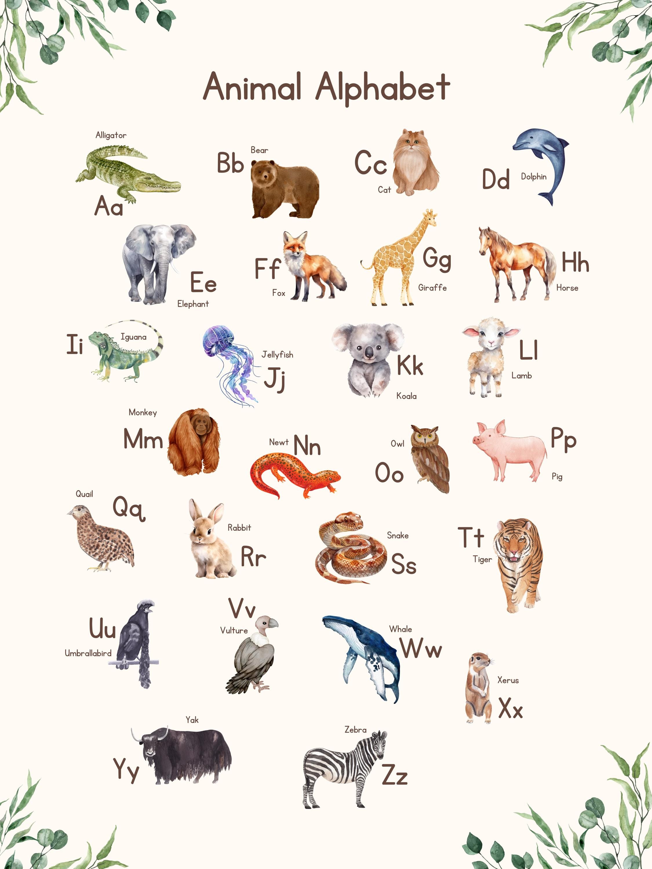Animal Alphabet Poster Printable - ABC Wall Art for Kids Room & Nursery ...