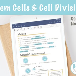 Mitosis and Meiosis Stem Cells Cell Division Study Notes A - Etsy