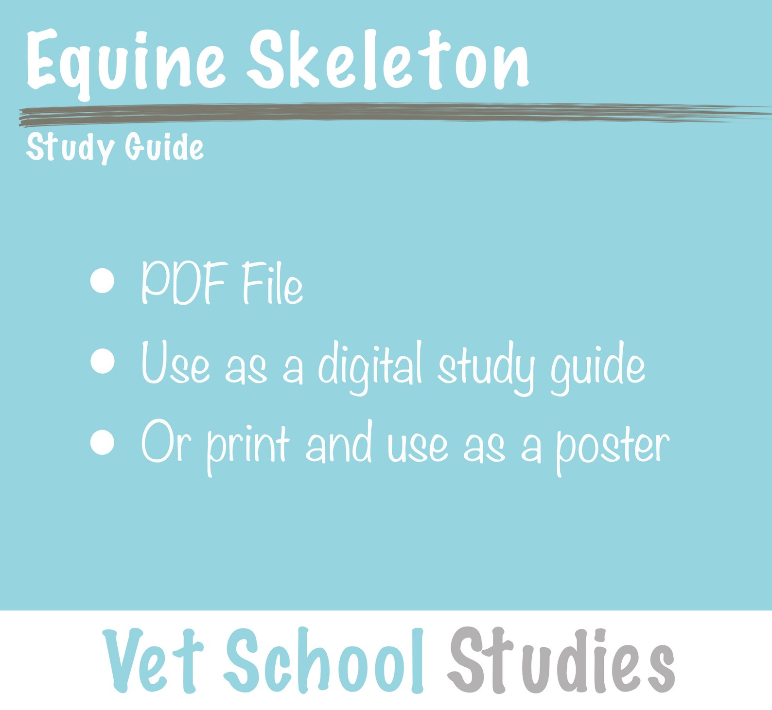 Horse Anatomy Equine Skeleton Study Guide Digital Notes | Pre Vet Tech ...