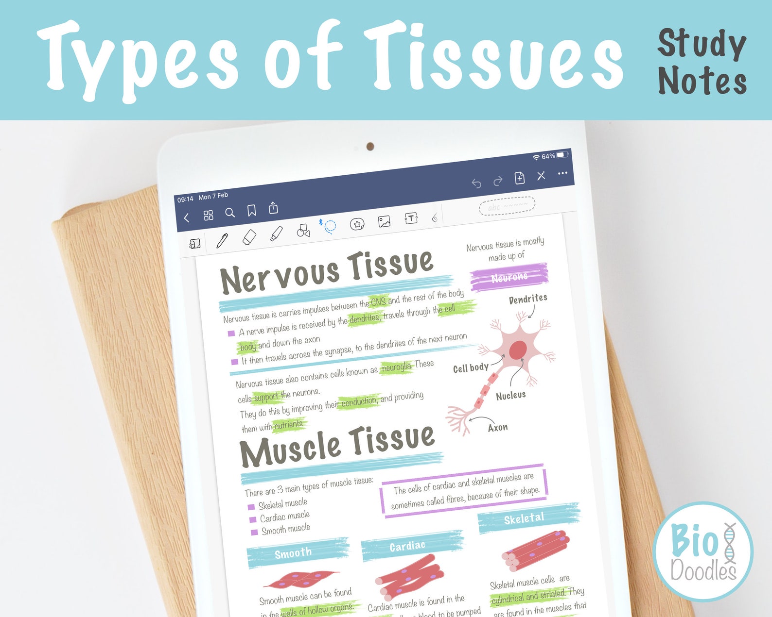 Types of Tissues Digital Study Guide Biology Study Notes - Etsy