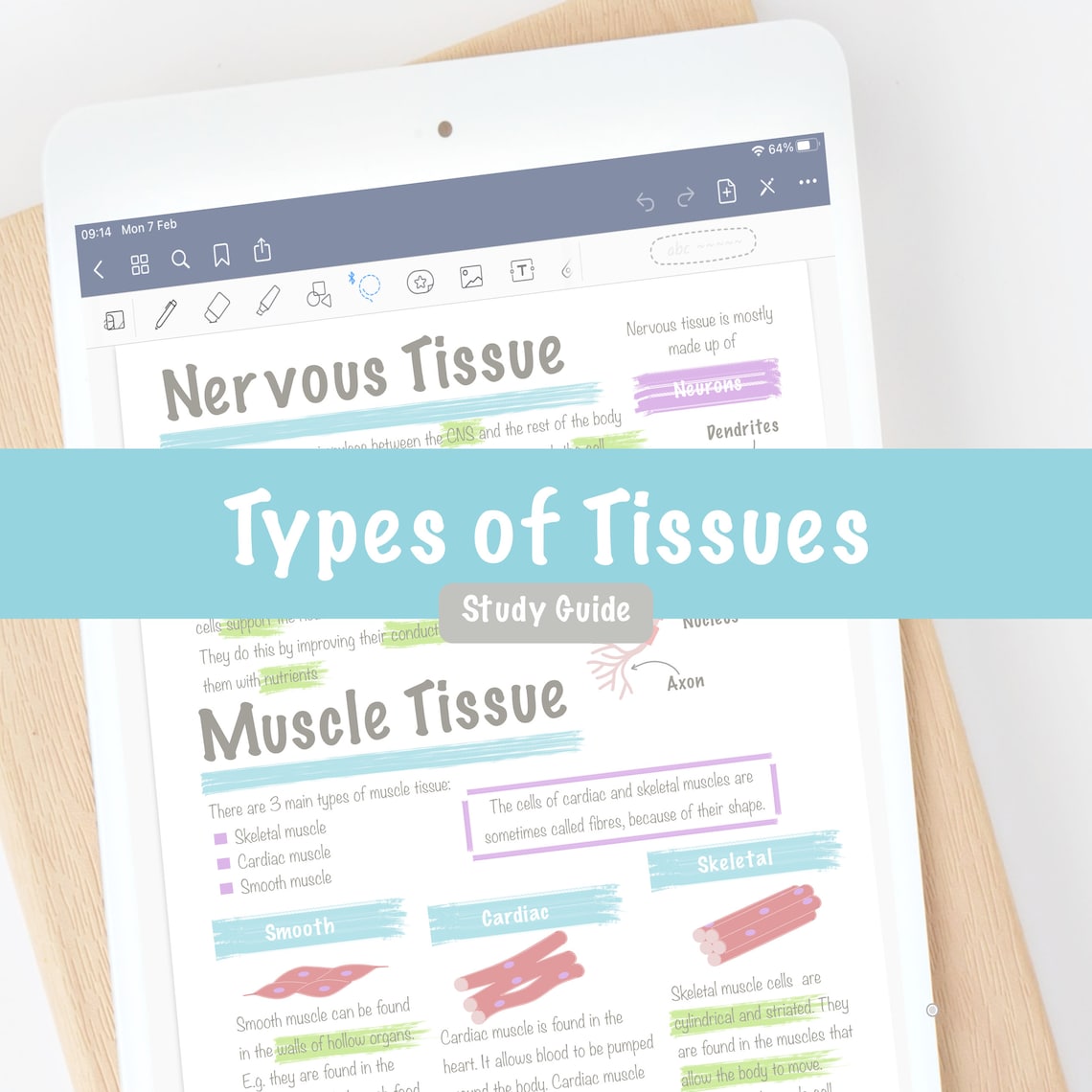 Types of Tissues Digital Study Guide | Biology Study Notes | Medicine ...