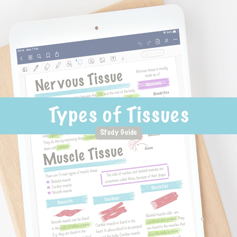 Types of Tissues Digital Study Guide | Biology Study Notes | Medicine ...