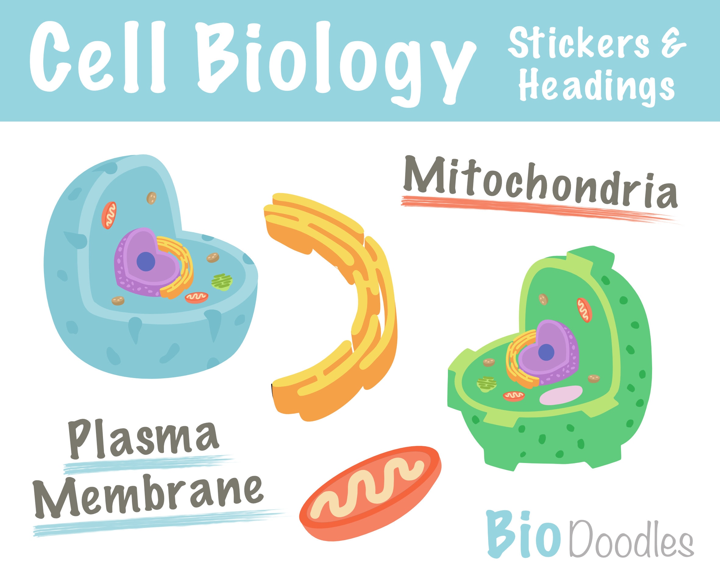 Cell Biology Digital Stickers Diagrams Headings | iPad Goodnotes ...