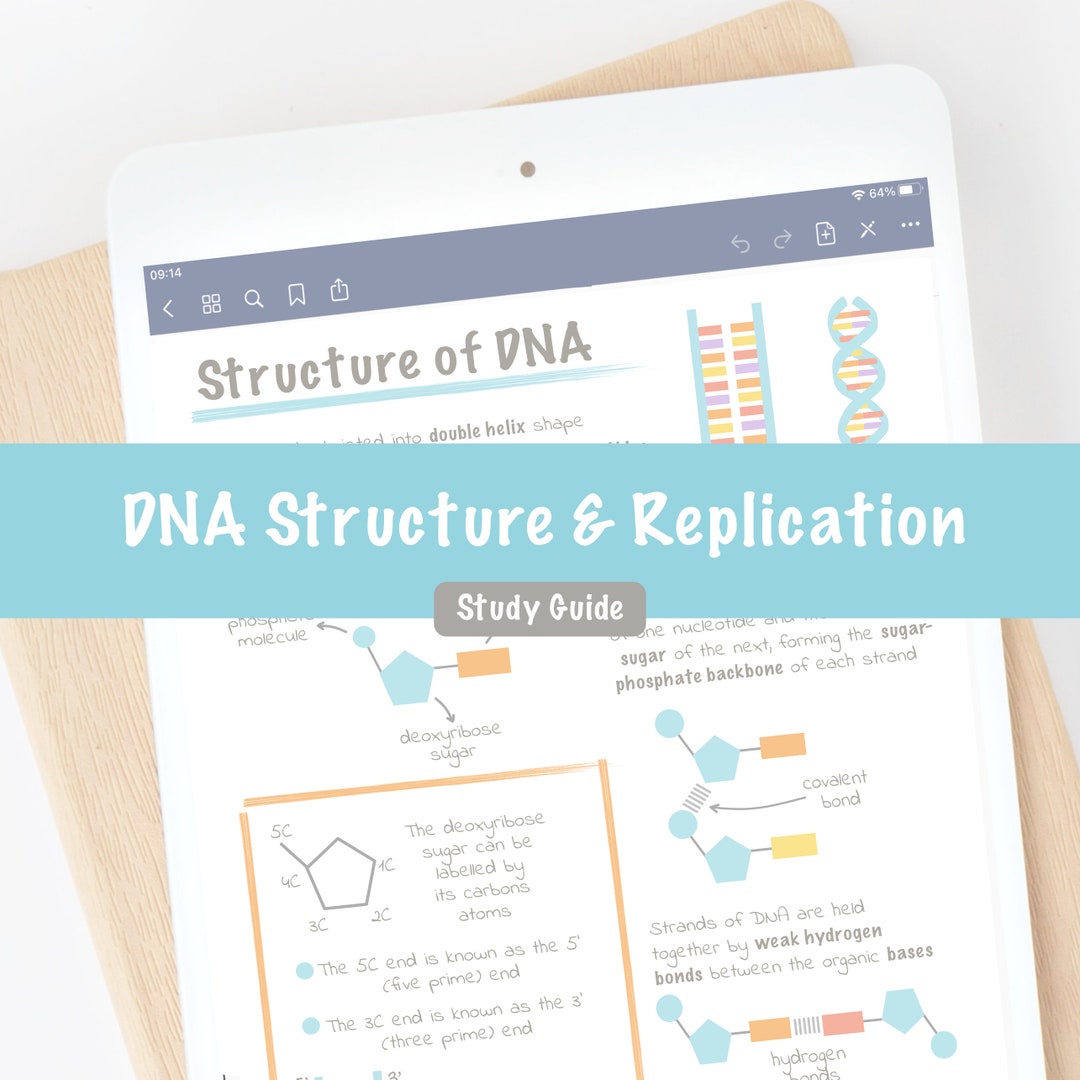 Structure and Replication of DNA Digital Study Guide Notes | High ...