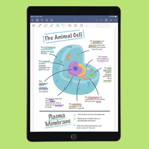 Cell Biology Digital Stickers Diagrams Headings Ipad | Etsy
