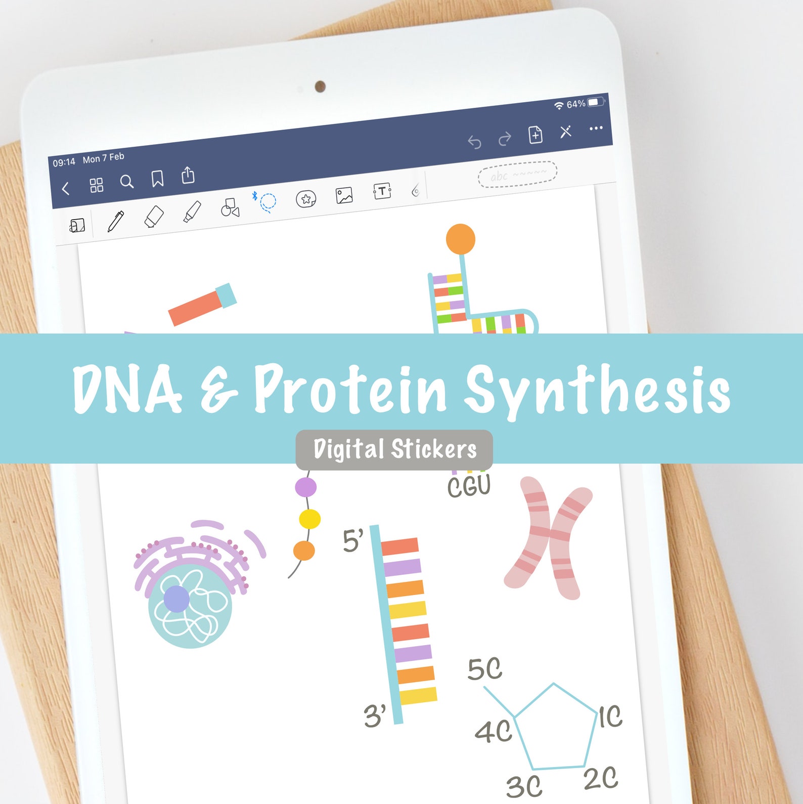 Genetics Digital Stickers Make Your Own Study Guide DNA Structure ...