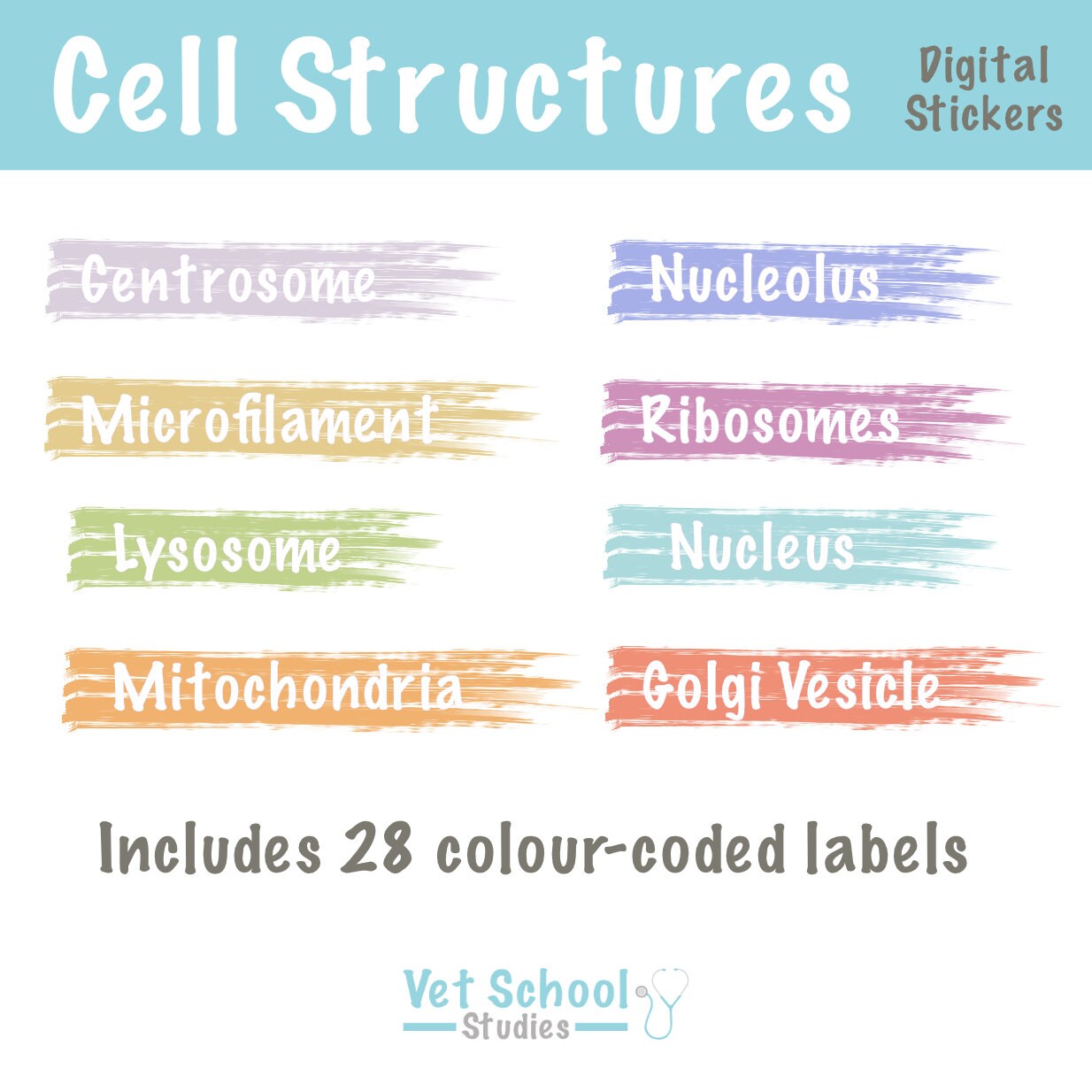 Cell Structures Organelles Digital Stickers| iPad Goodnotes Notability ...