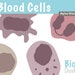 Types of Blood Cells Digital Stickers | Cell Biology Human Biology Clip ...