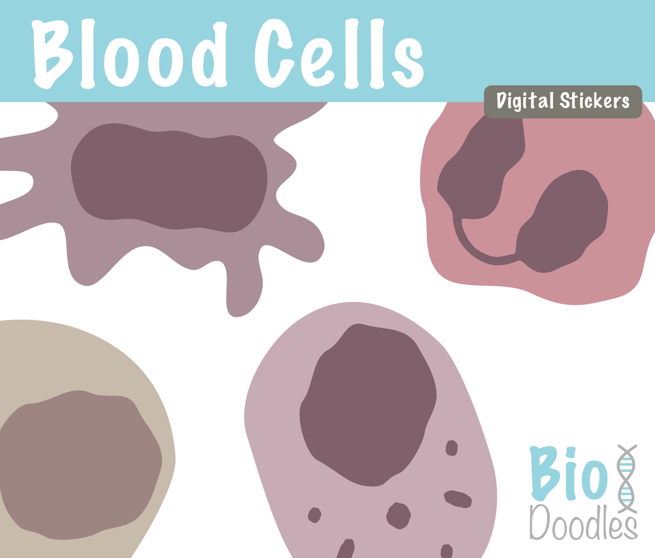 Types of Blood Cells Digital Stickers | Cell Biology Human Biology Clip ...