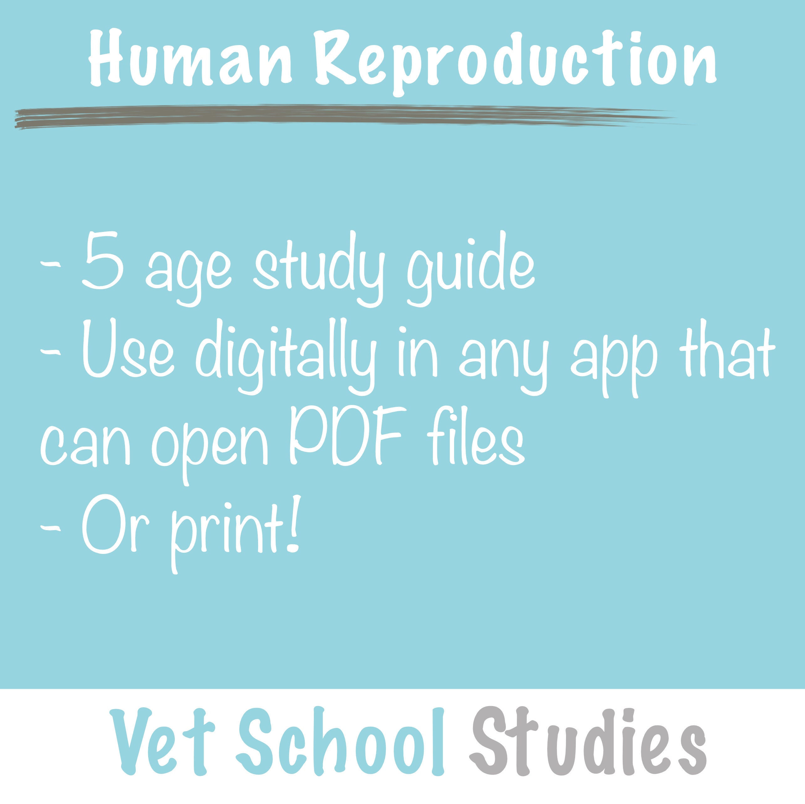Human Reproduction Study Guide | Hormones Reproductive System | Human ...