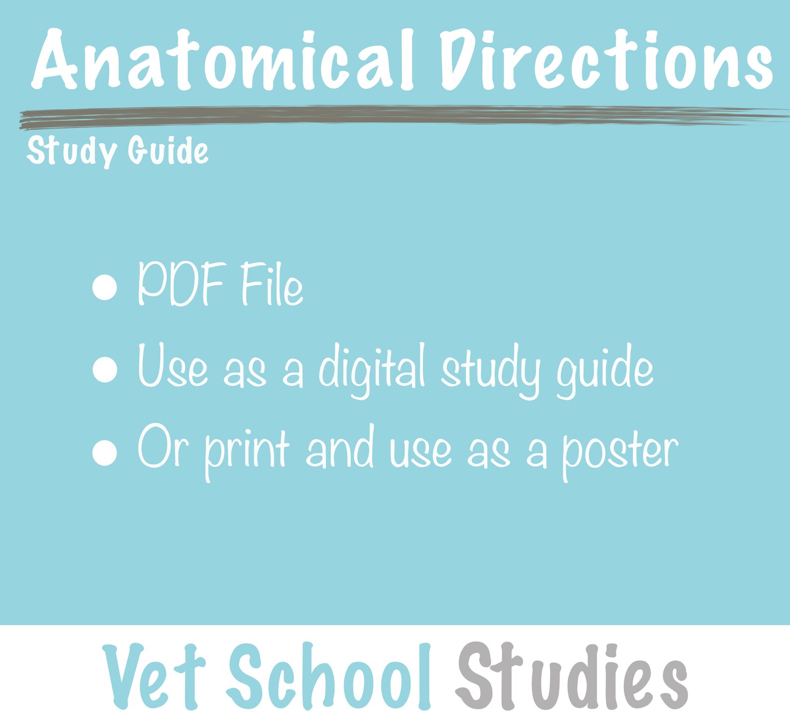 Anatomical Directions Study Guide Poster | Veterinary Dog Anatomy Vet ...