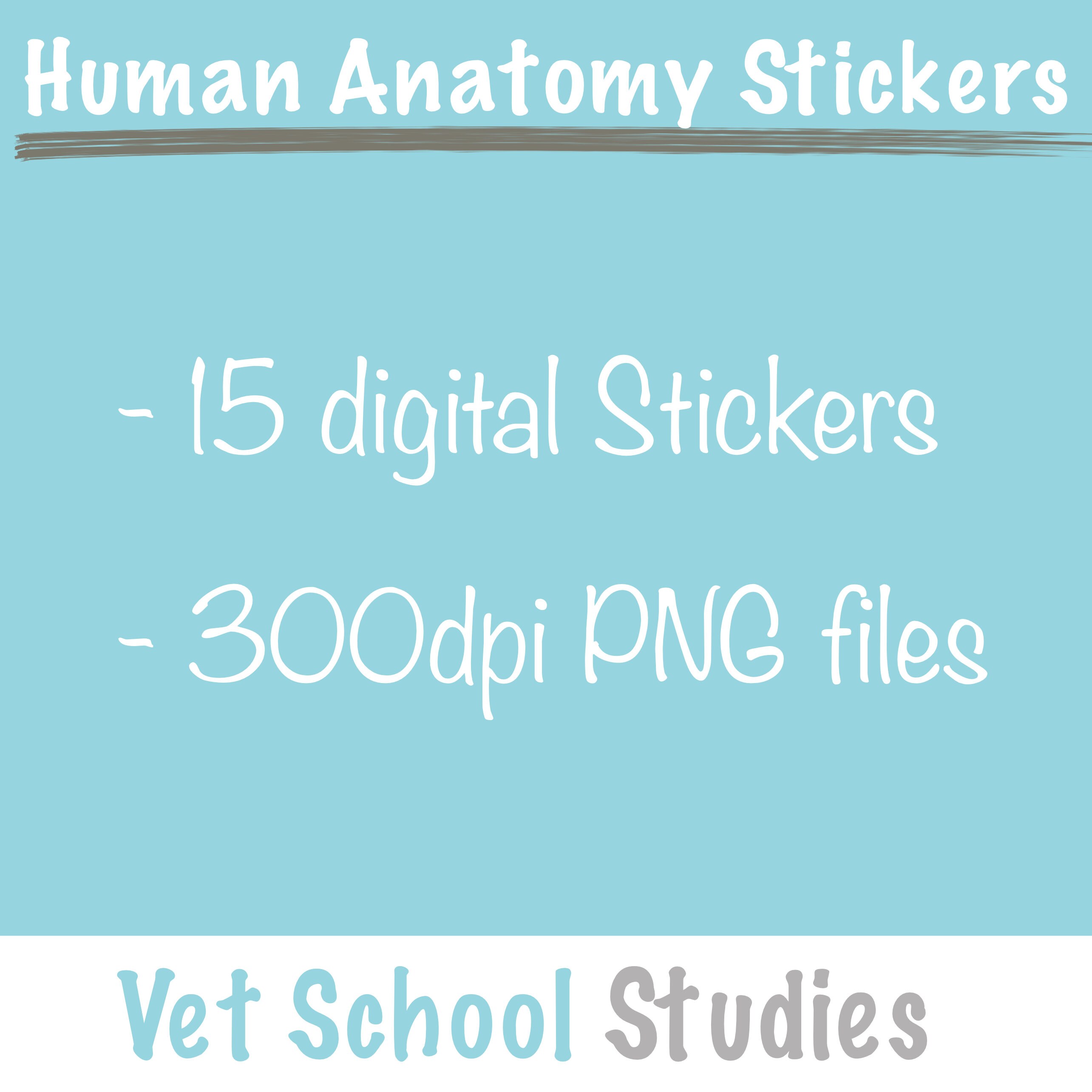 Human Anatomy Body Organs Digital Stickers | Human Biology Clip Art ...