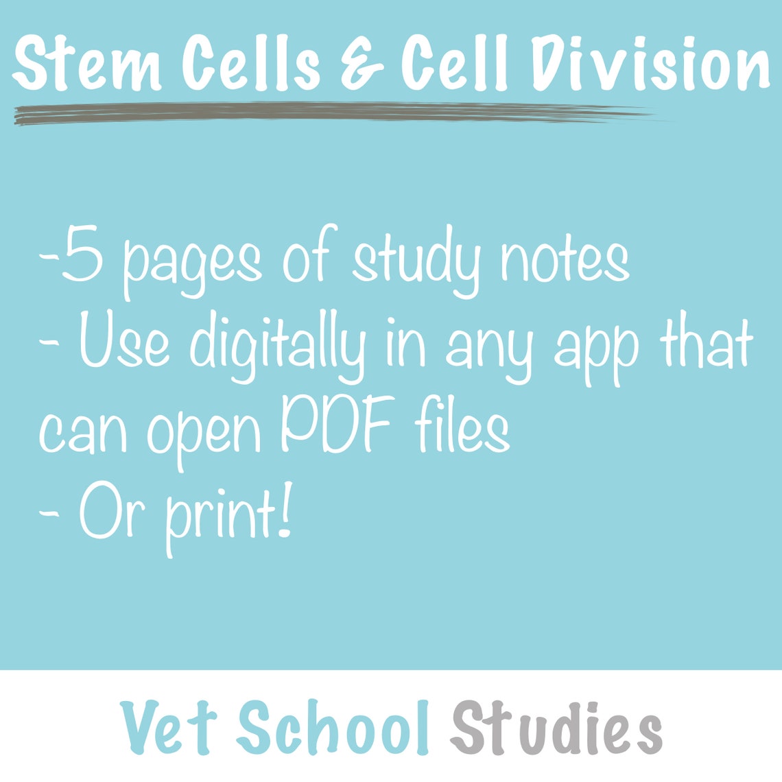 Mitosis and Meiosis Stem Cells Cell Division Study Notes A Level High ...