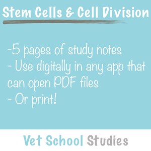 Mitosis and Meiosis Stem Cells Cell Division Study Notes | A Level High ...