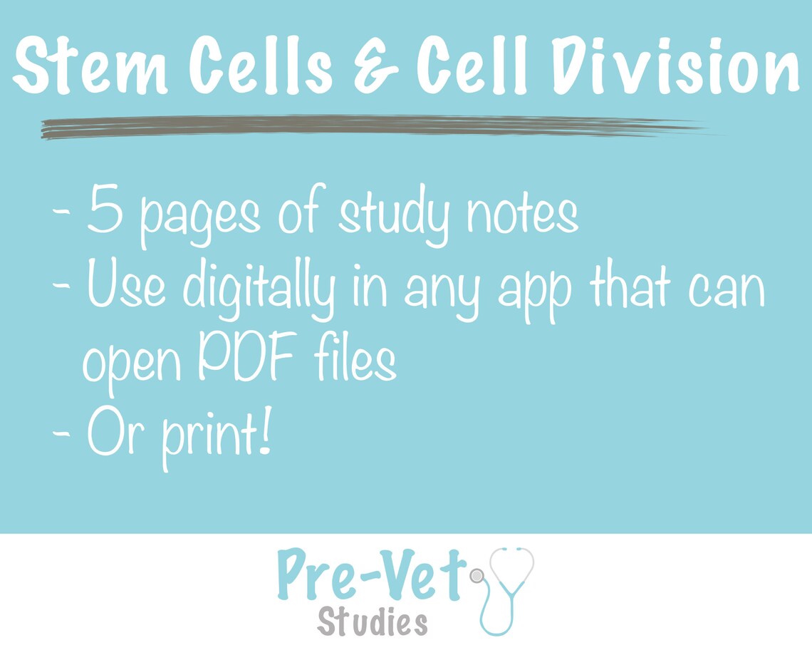Mitosis and Meiosis Stem Cells Cell Division Study Notes A | Etsy