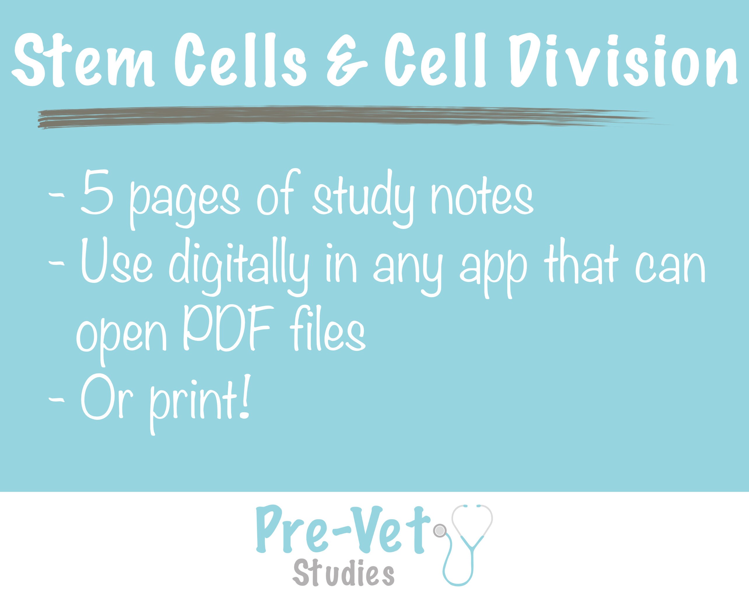 Mitosis and Meiosis Stem Cells Cell Division Study Notes A | Etsy
