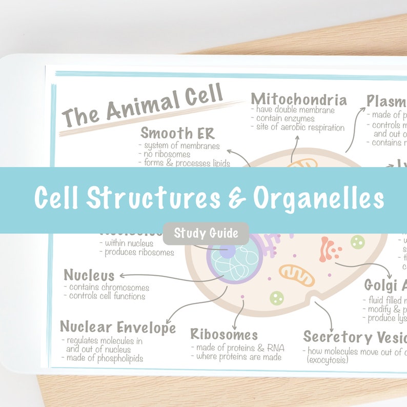 Cell Structures and Organelles Study Guide | Animal Plant Fungal Cell ...